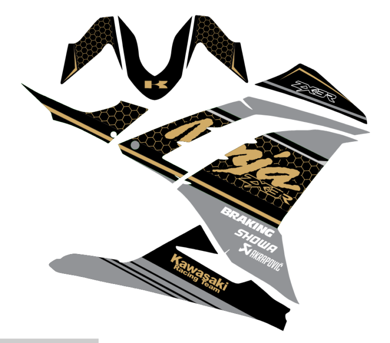 NINJA 300 PERSONALIZADA PANAL DORADO – Calcas Monkey